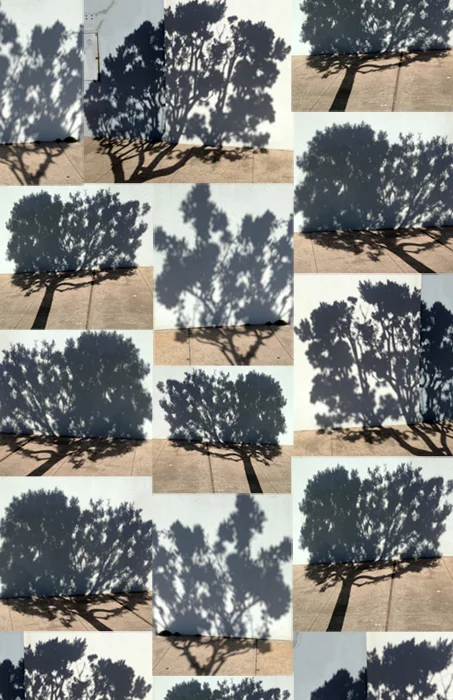 Shadows — Katja Ollendorff